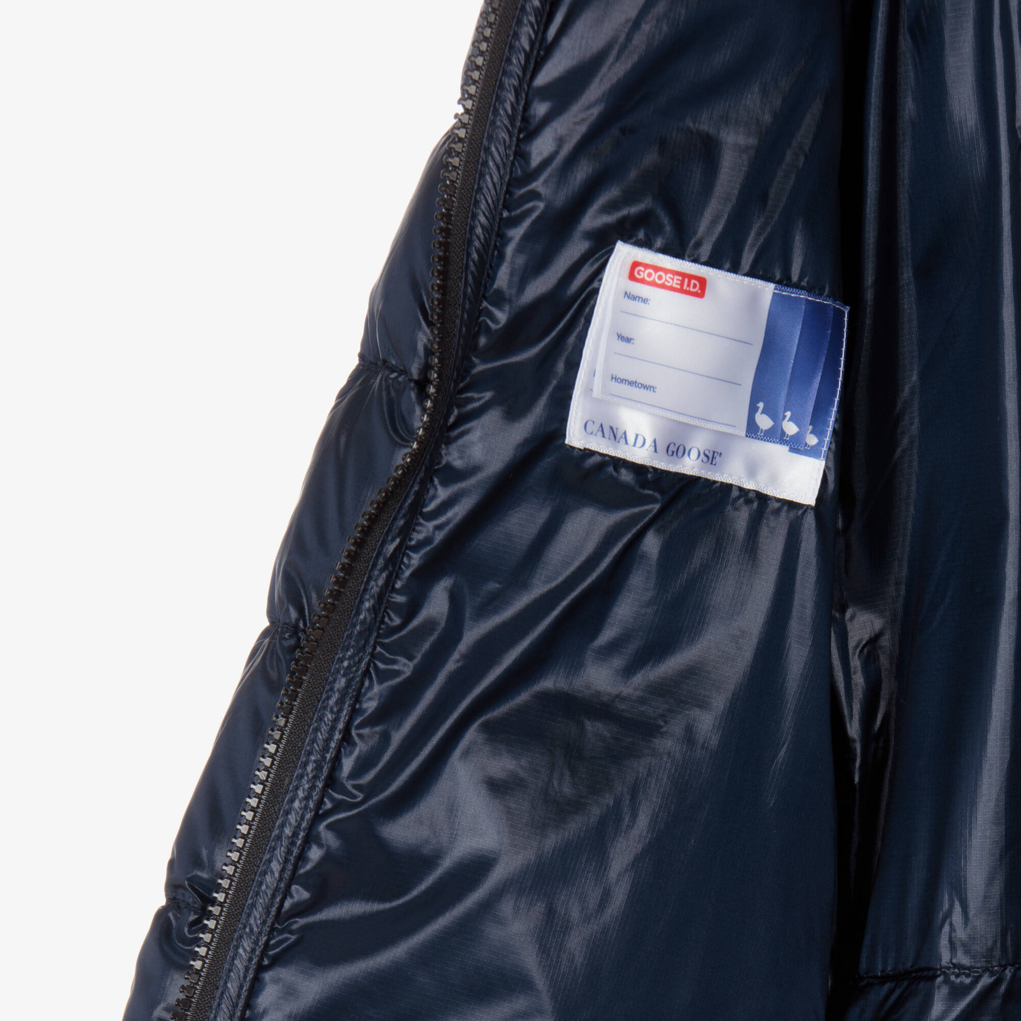 Canada Goose - Girls Blue Down Padded Cypress Jacket | Childrensalon
